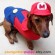 Cosplay para perros, disfraza a tu mascota de los personajes de Super ...